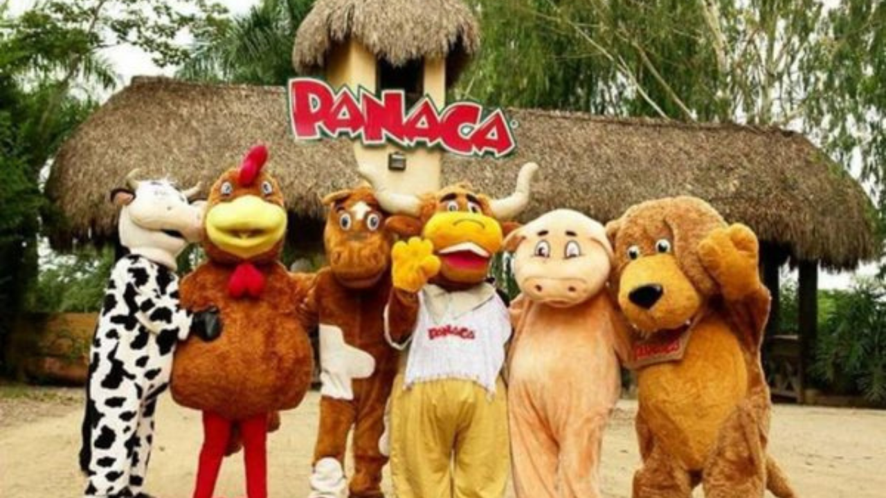 Magia Cafetera - Personaliza tu viaje por el Eje Cafetero